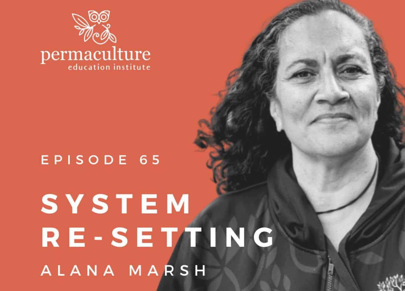 Episode 65 System Re-setting Alana Marsh with Morag Gamble - Our ...
